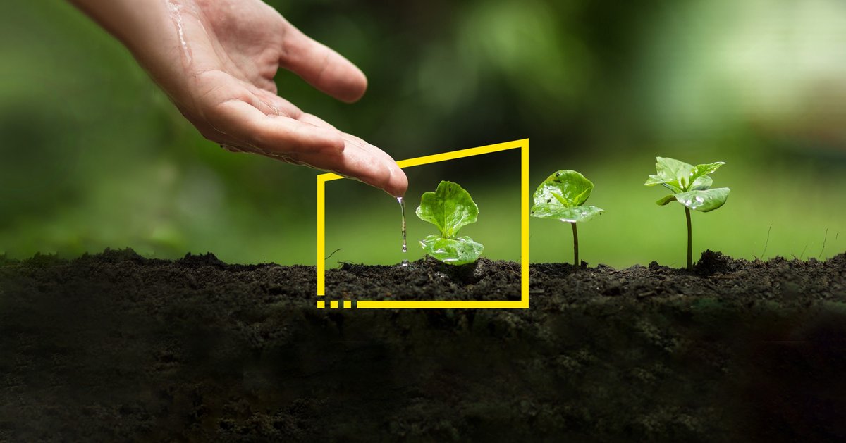 'Total Reporting': EY's Value-Driven Approach to ESG Reports ...