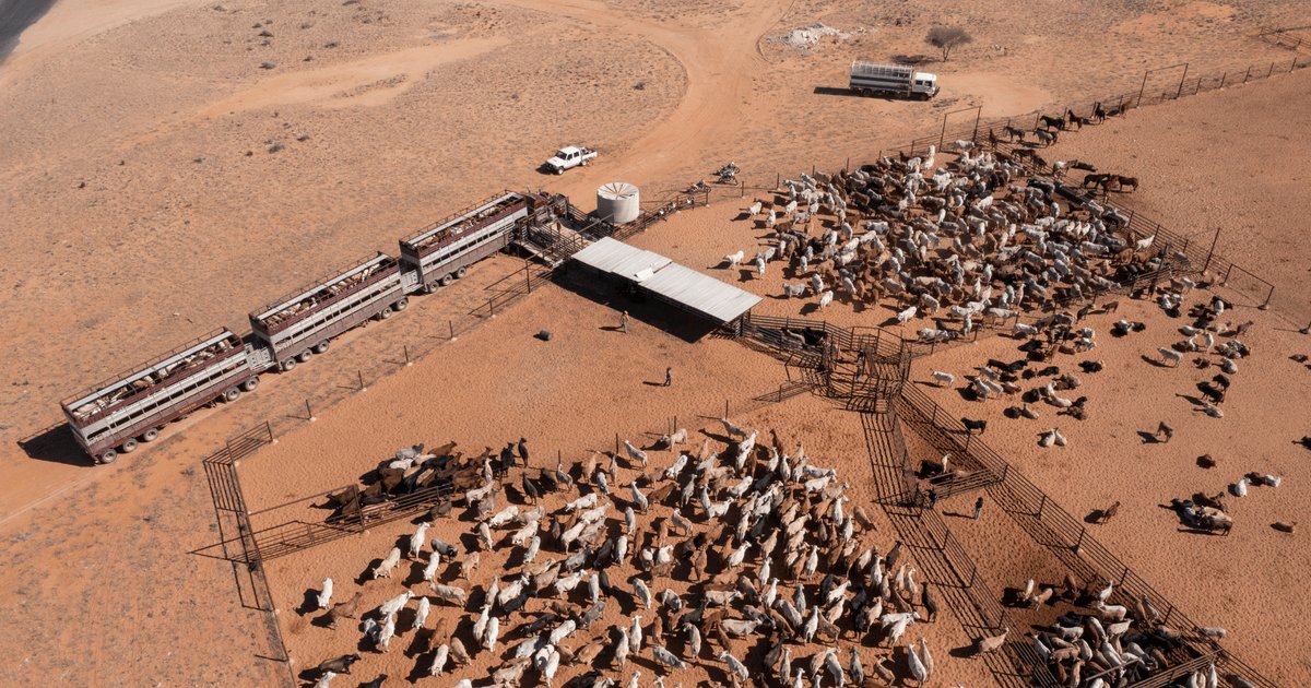 Meat, Methane & Mitsubishi: How to Stop 30% of GHG Emissions ...