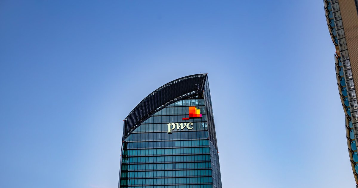 PwC 2024 Review: Revenue Growth, AI Innovation & Net Zero ...