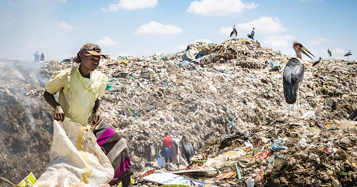 Reducing Waste: Procurement's Role in Sustainability | Procurement Magazine