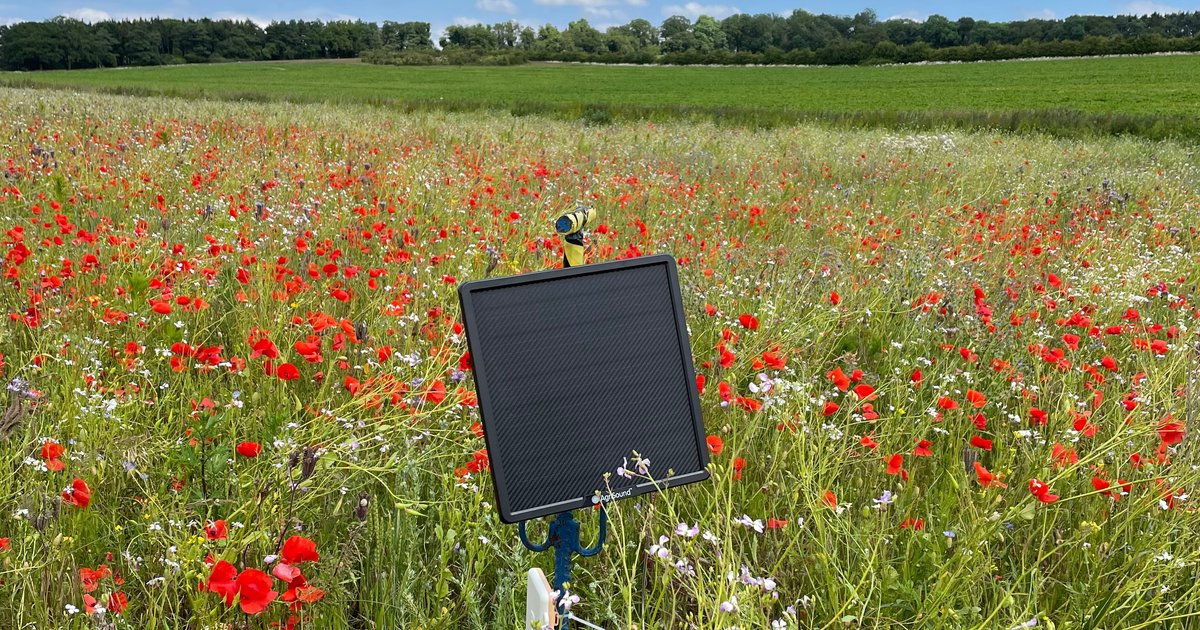 Cranswick and AgriSound Partner for Carbon Insetting | Food and Drink ...