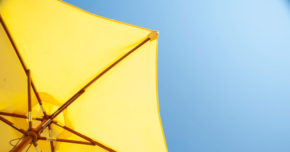 Canopy Connect: Transforming Insurance with Data | InsurTech Digital