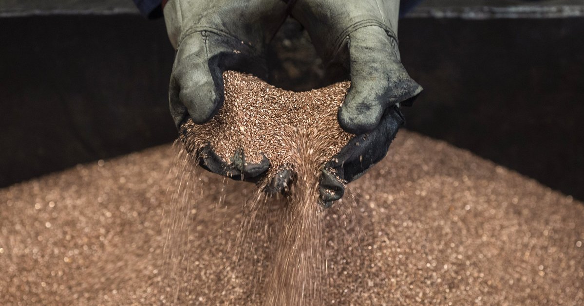 Next step to net zero copper mining | Mining Digital