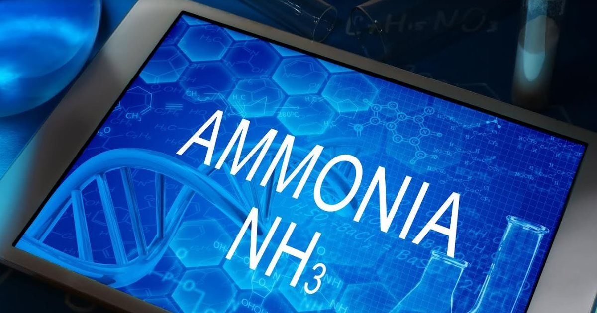 Are Hanwha & INEOS on Brink of Big Low-Carbon Ammonia Deal ...