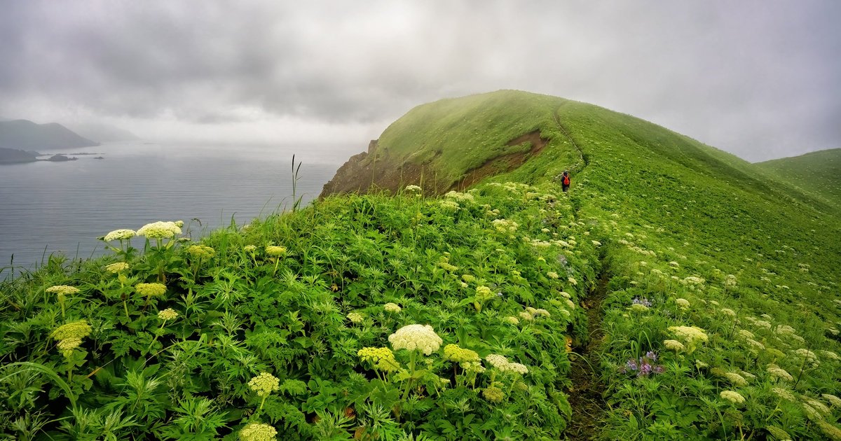 Explore Nature-Based Solutions Ahead of Sustainability LIVE ...