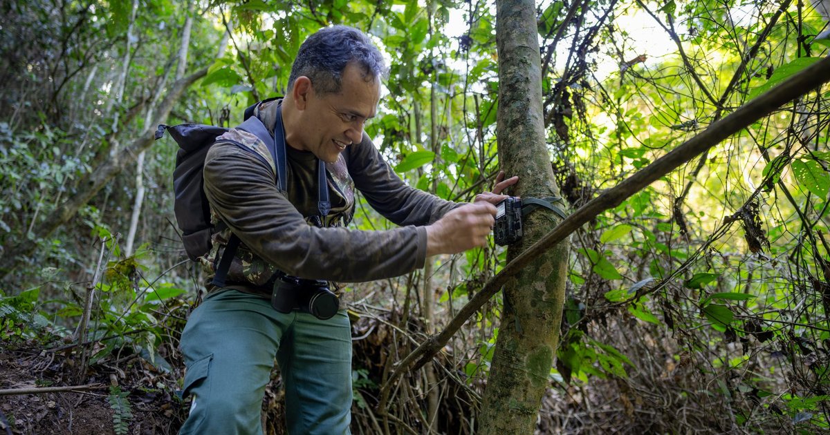 Project SPARROW: Microsoft's AI Project to Help Biodiversity | AI Magazine