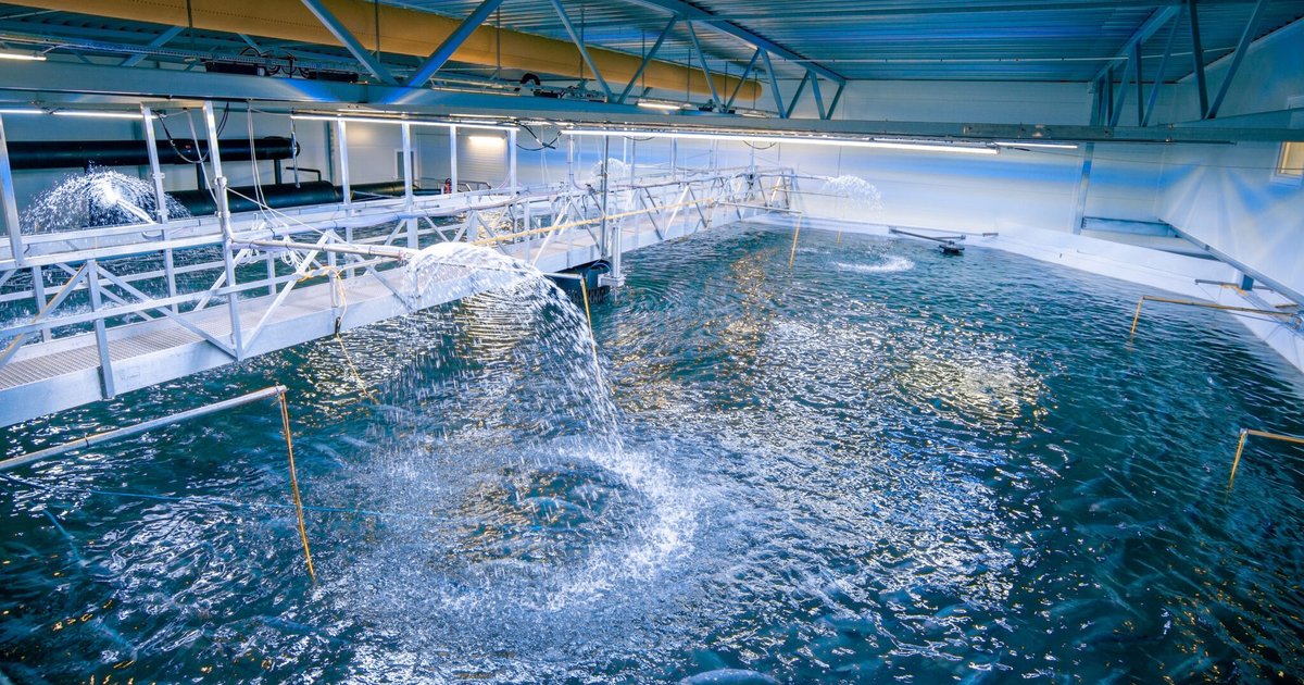 Green Mountain Data Centre: Circular Energy for Trout Farms ...