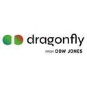 Dragonfly Strategic Outlook: Bracing for Supply Chain Risks | Supply ...