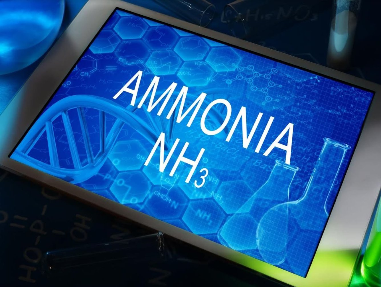 Are Hanwha & INEOS on Brink of Big Low-Carbon Ammonia Deal ...