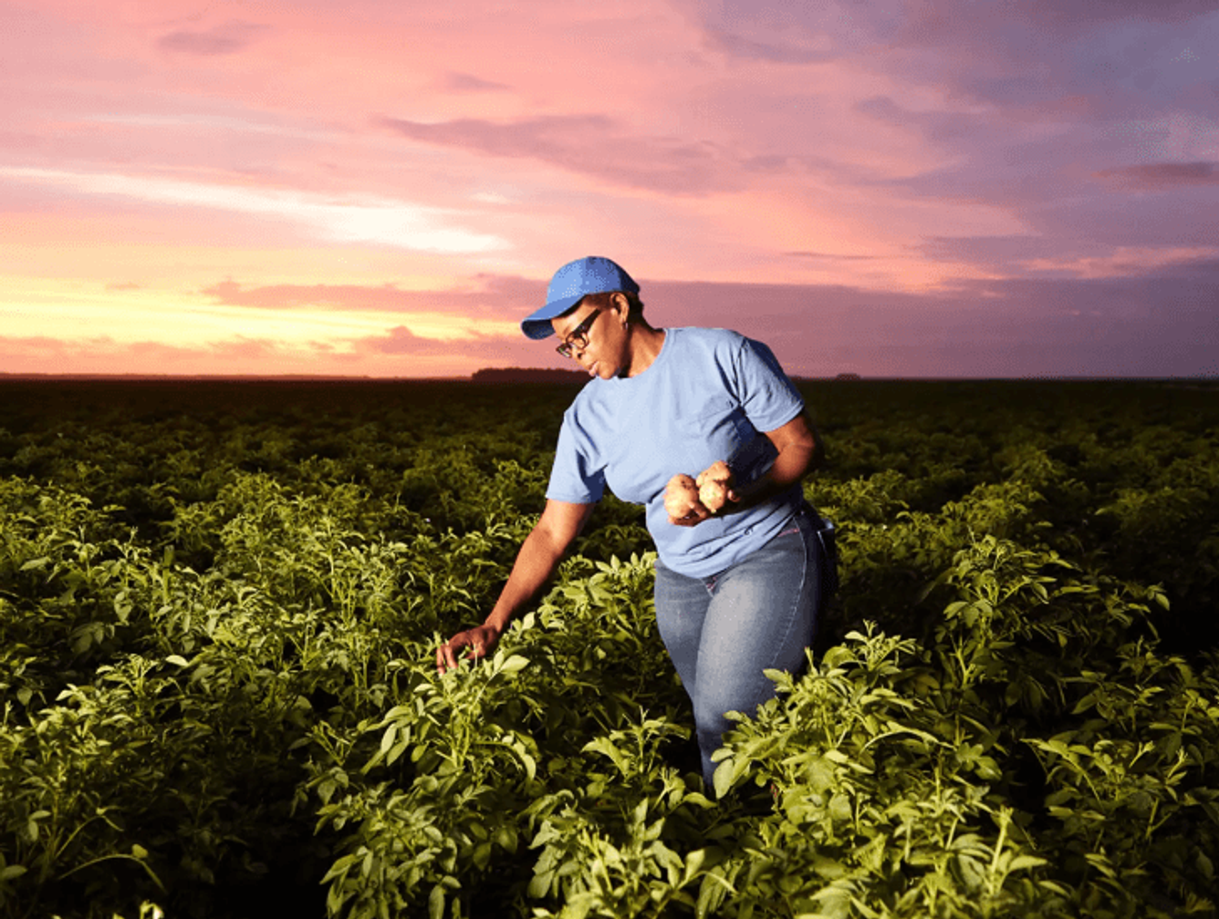 PepsiCo Sparks Innovation in Regenerative Agriculture | Sustainability ...