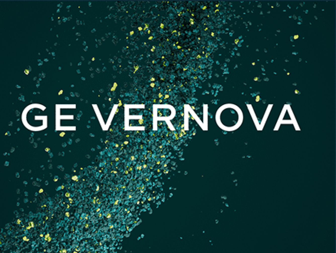 What's Inside GE Vernova's First Sustainability Report? | Energy Magazine