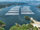 ABB on the Incredible Potential of Floating Solar Farms ...