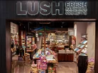 Lush's Green Hub Innovates Supply Chain Sustainability | Supply Chain ...