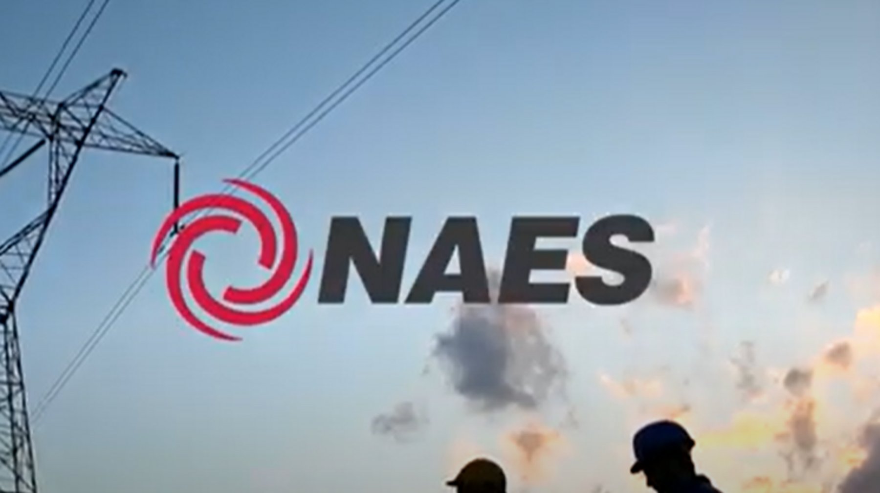 Mark Holtermann, Vice President of IT and Digitisation, NAES ...