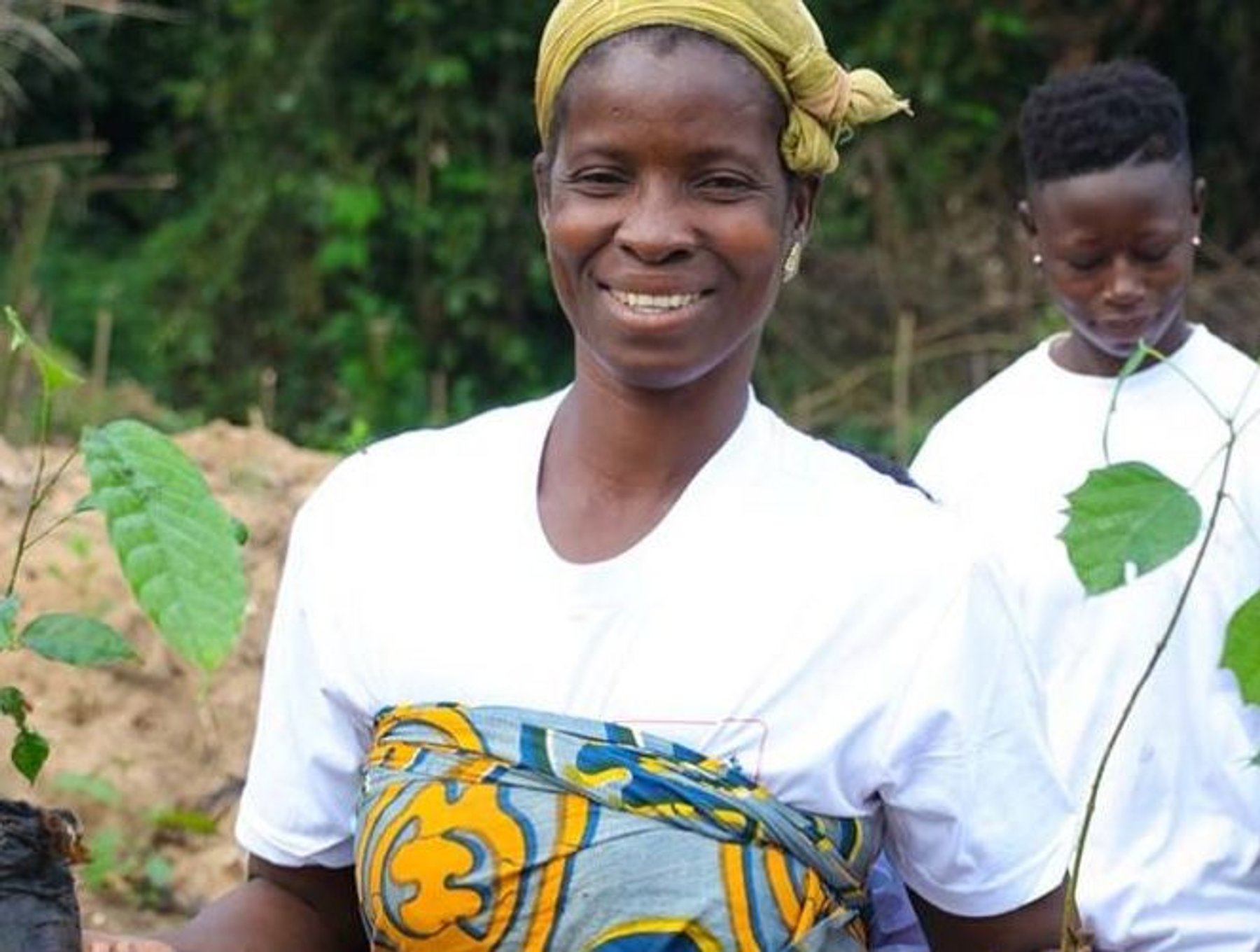 Nestlé's Mission to Boost Sustainable Cocoa Farming | Sustainability ...