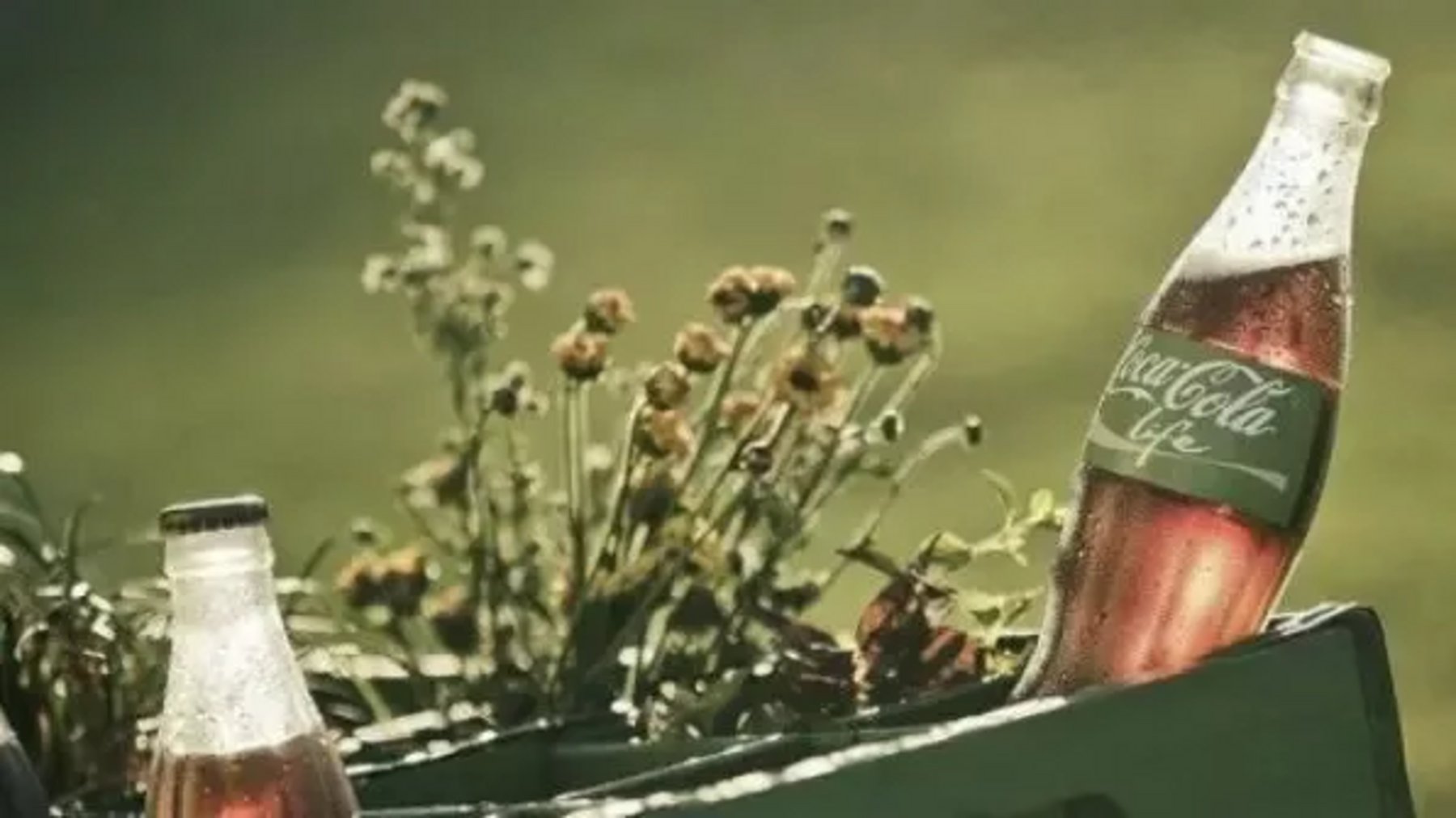 Coca-Cola Launches Healthy Soda: Coca-Cola Life | Business Chief North ...