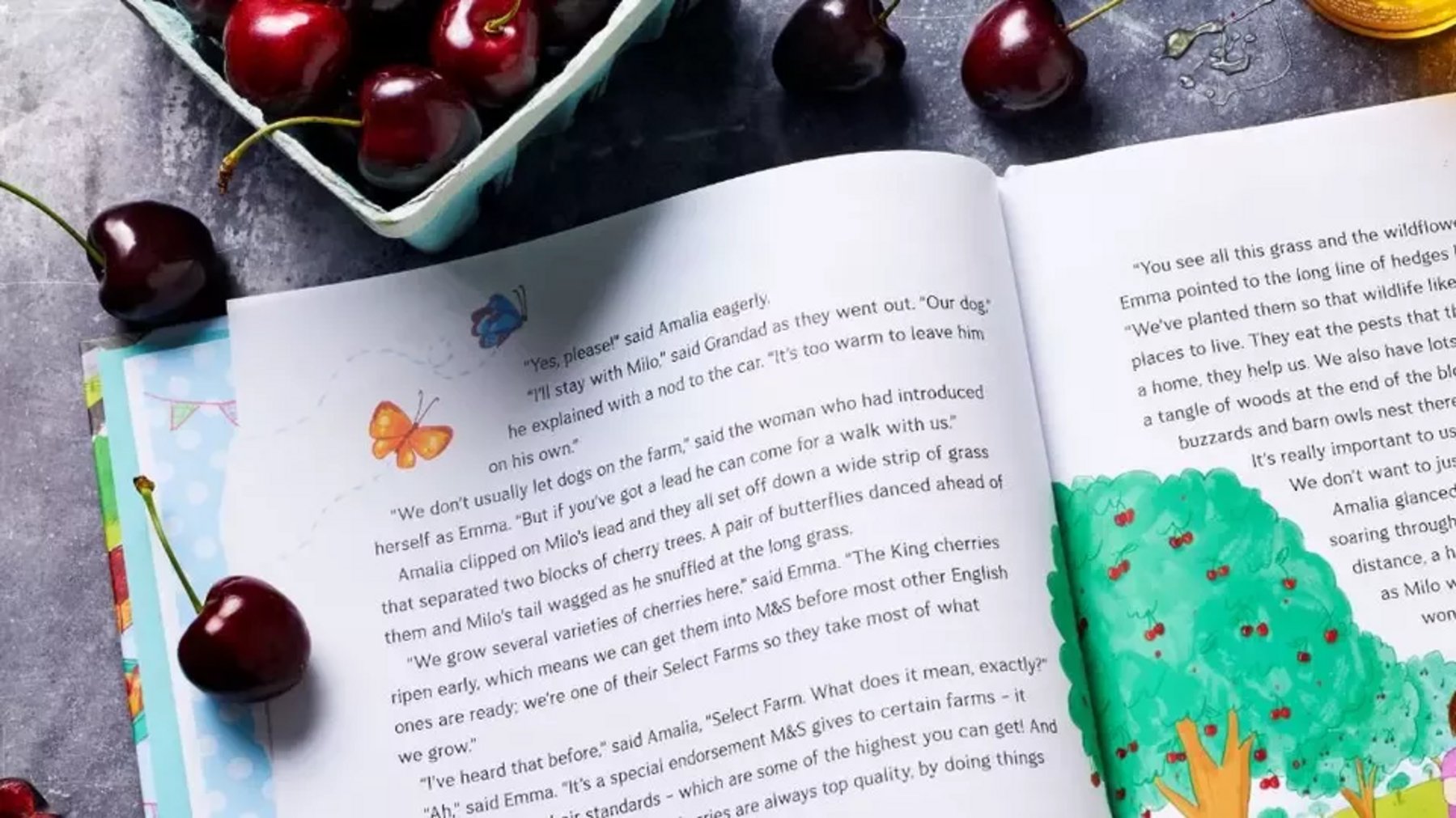 M S Food HarperCollins Release Kids Book On Food Origins Food Digital m-s-food-harpercollins-release-kids-book-on-food-origins-food-digital