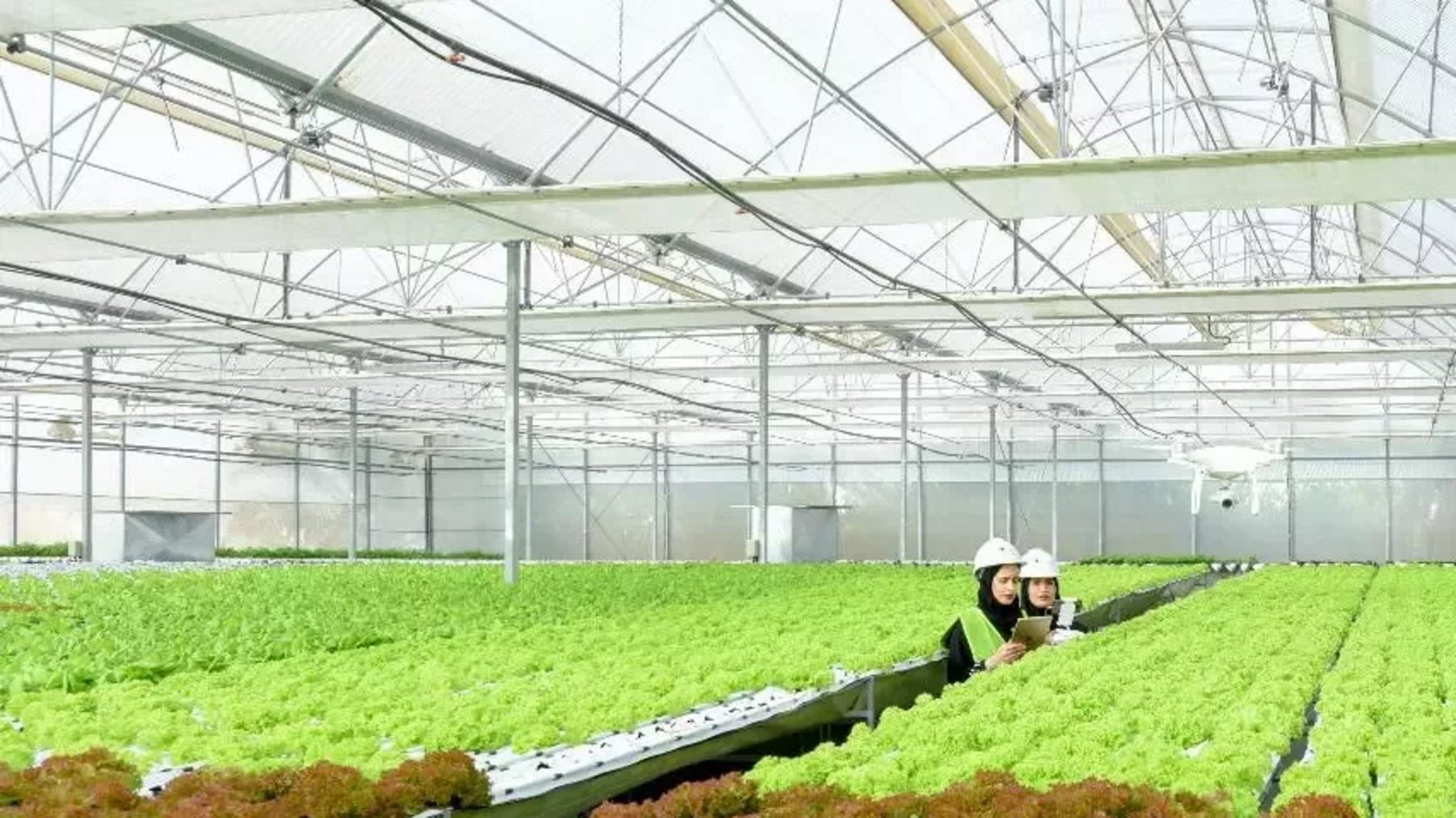 World Food Day: sustainably addressing food security | Sustainability ...