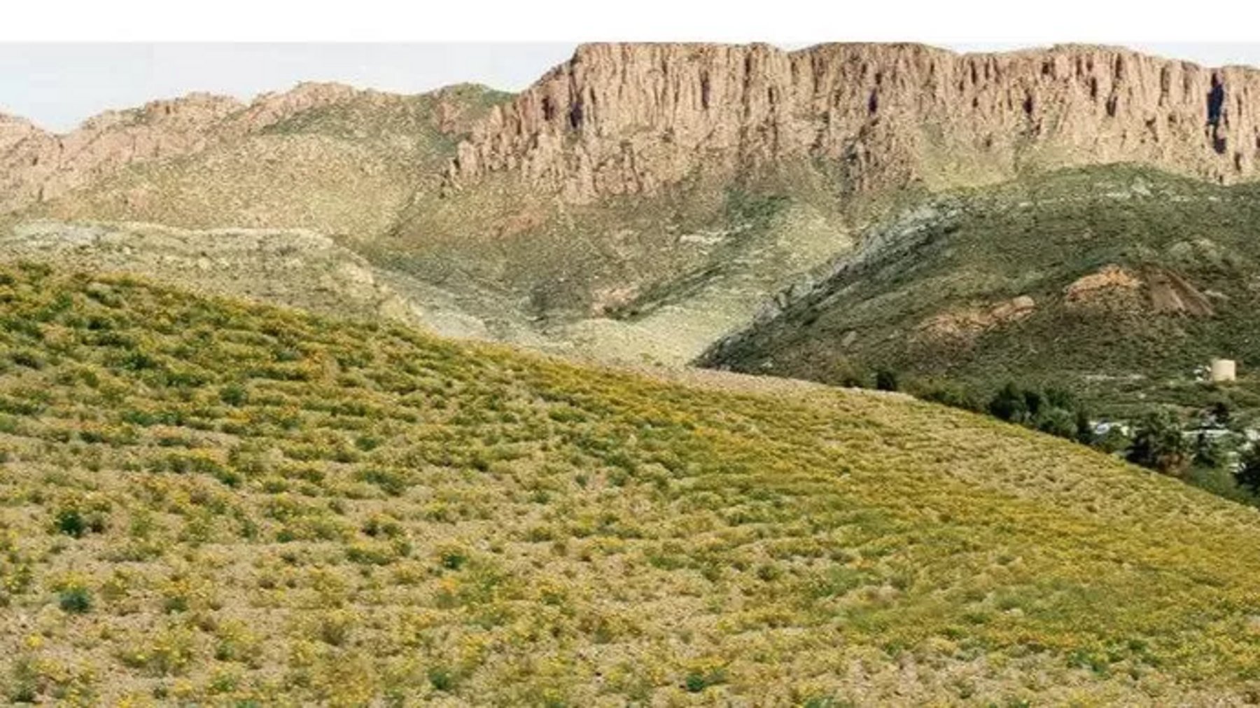 Resolution Copper completes $75m mining restoration project | Mining ...