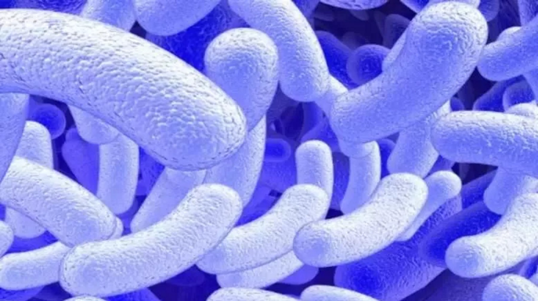 Electrofuel System Could Build Alternative Fuels | Energy Magazine