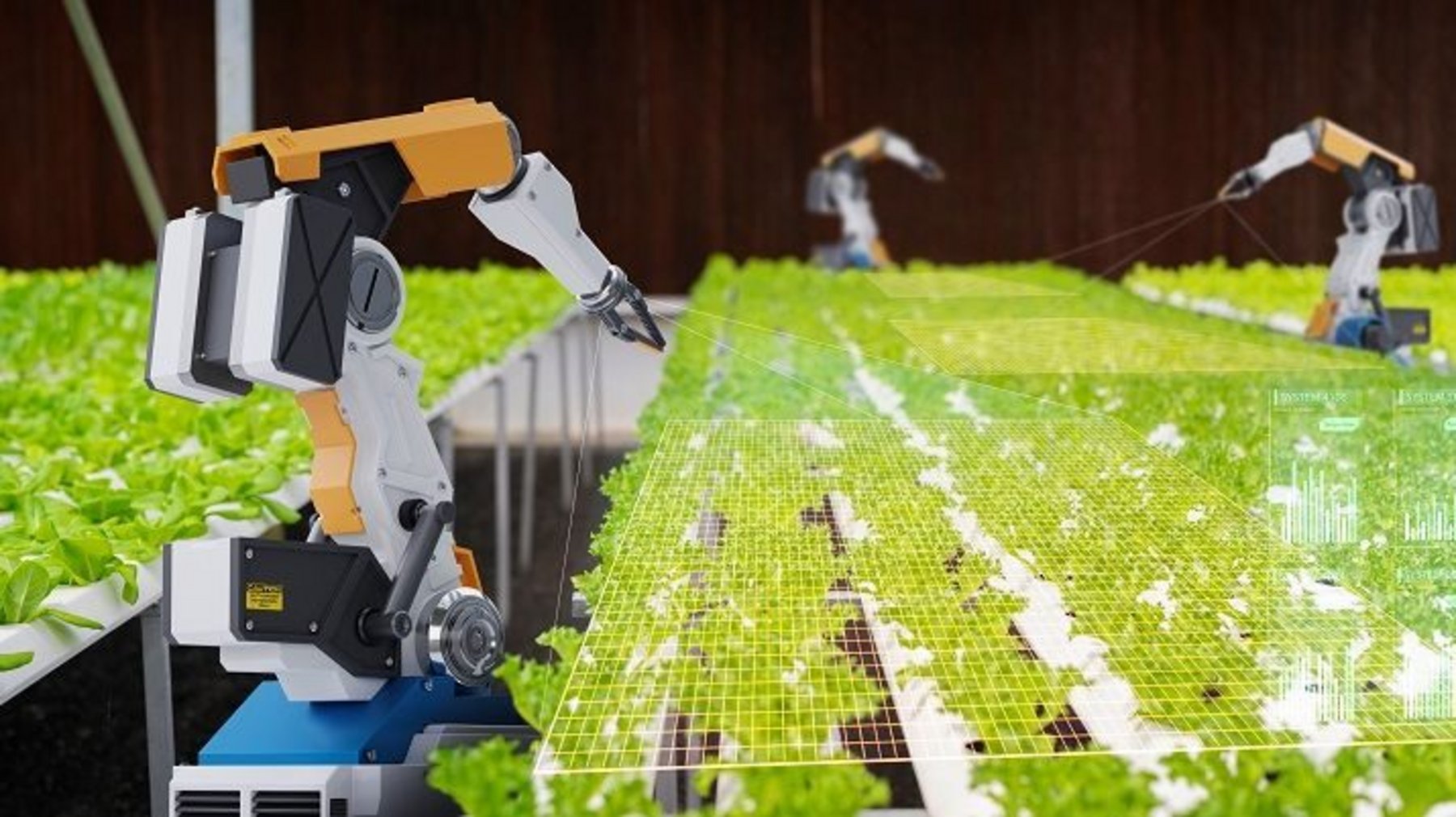 Robotics and autonomous systems: a help or a hindrance ...