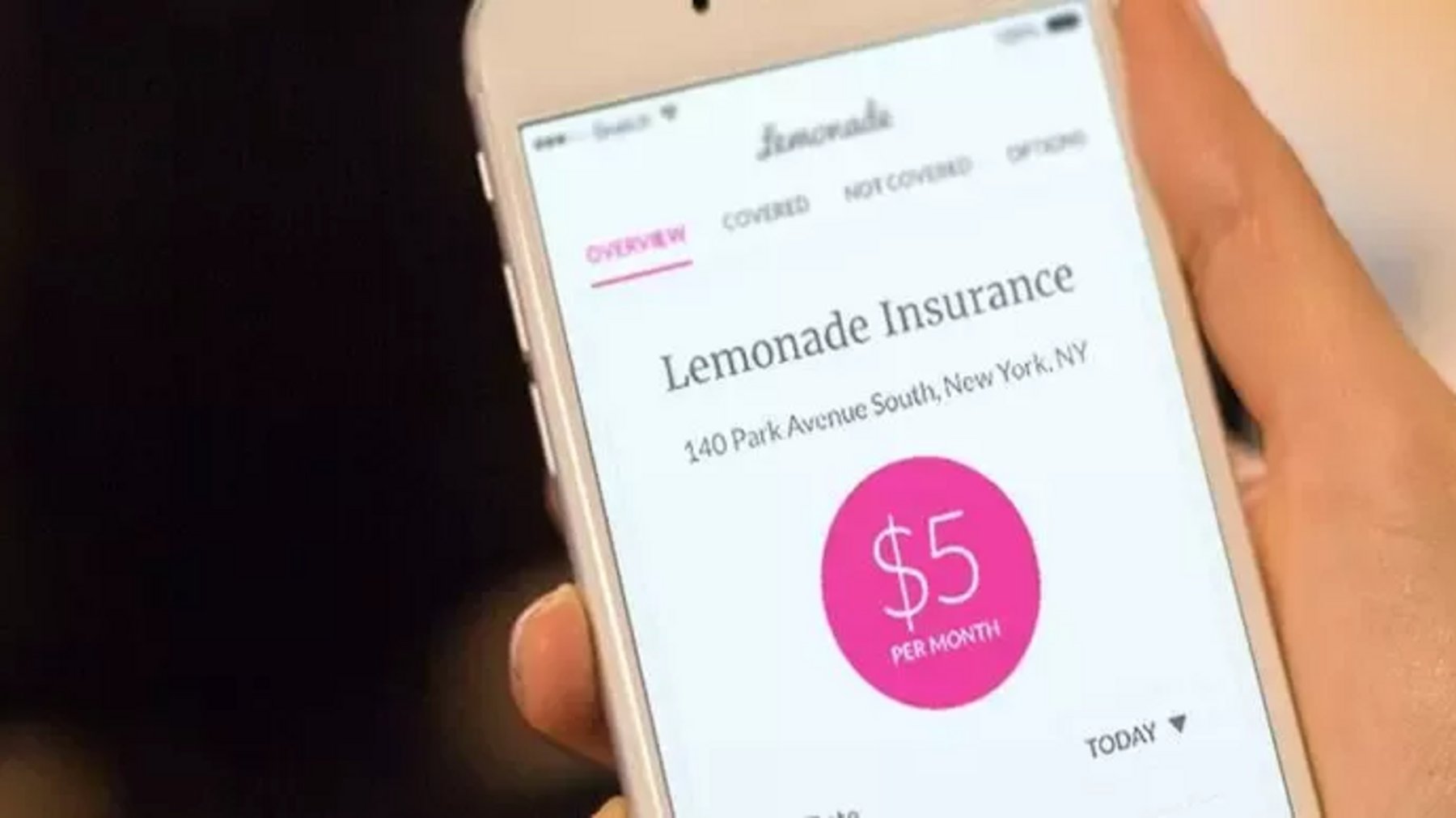 Lemonade reaches 'one million customers' milestone | InsurTech Magazine