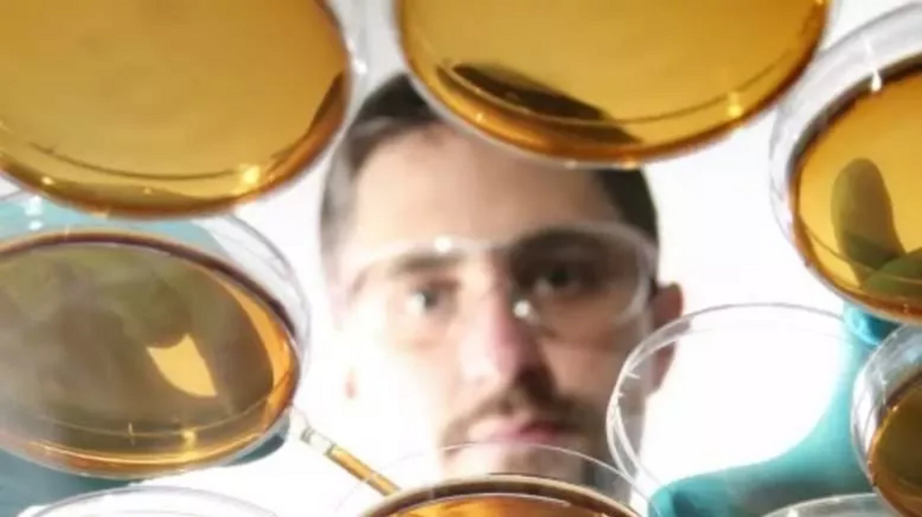 Heart attack scars can be healed with stem cells | Healthcare Digital