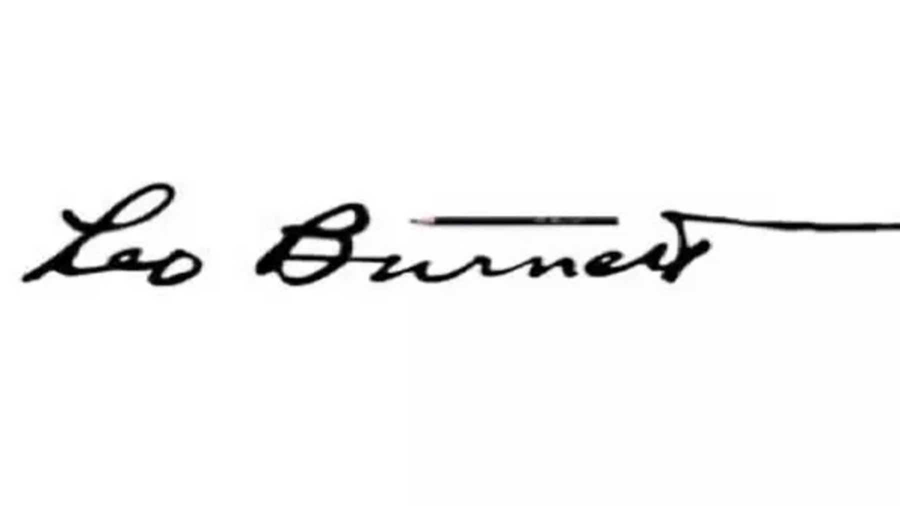 Leo Burnett Canada Wins Agency of the Year | Business Chief North America