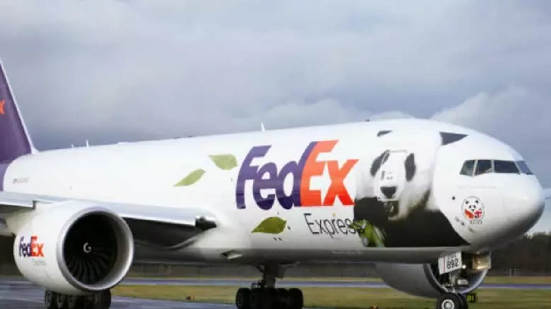 FedEx marks European Growth Milestone | Supply Chain Magazine