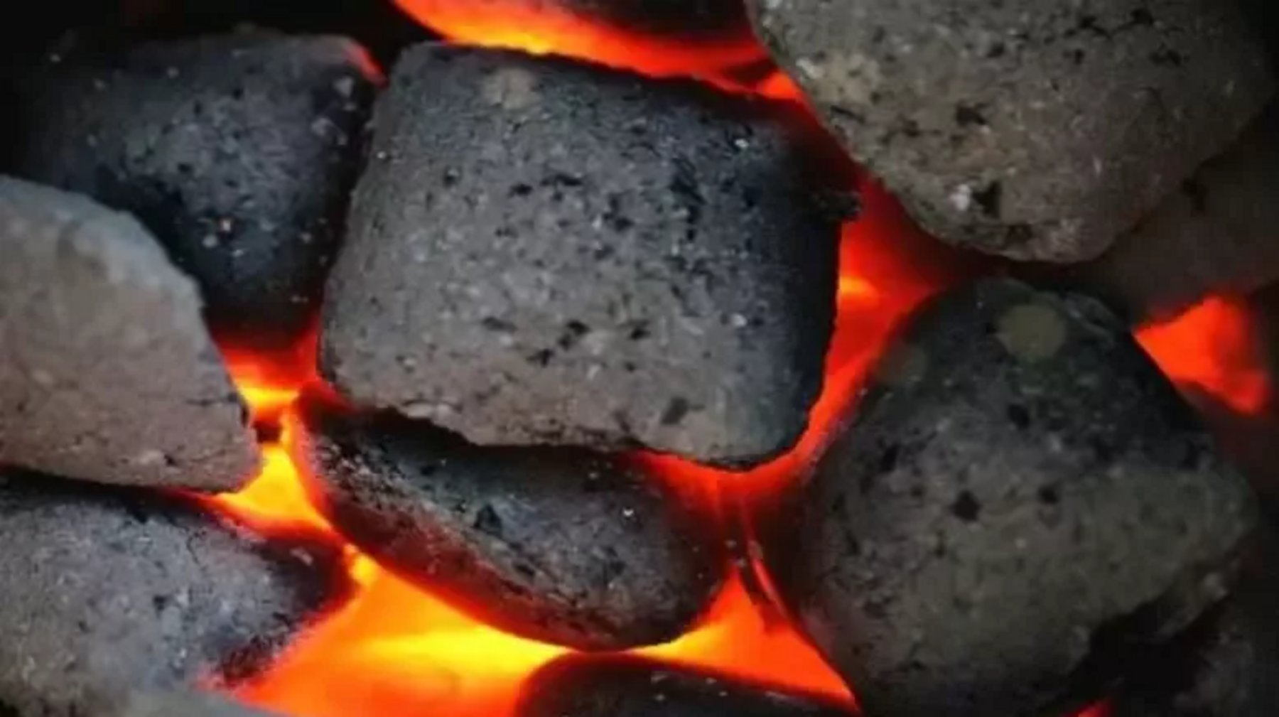 Utah Coal Company Earns Environmental Excellence Award | Mining Digital