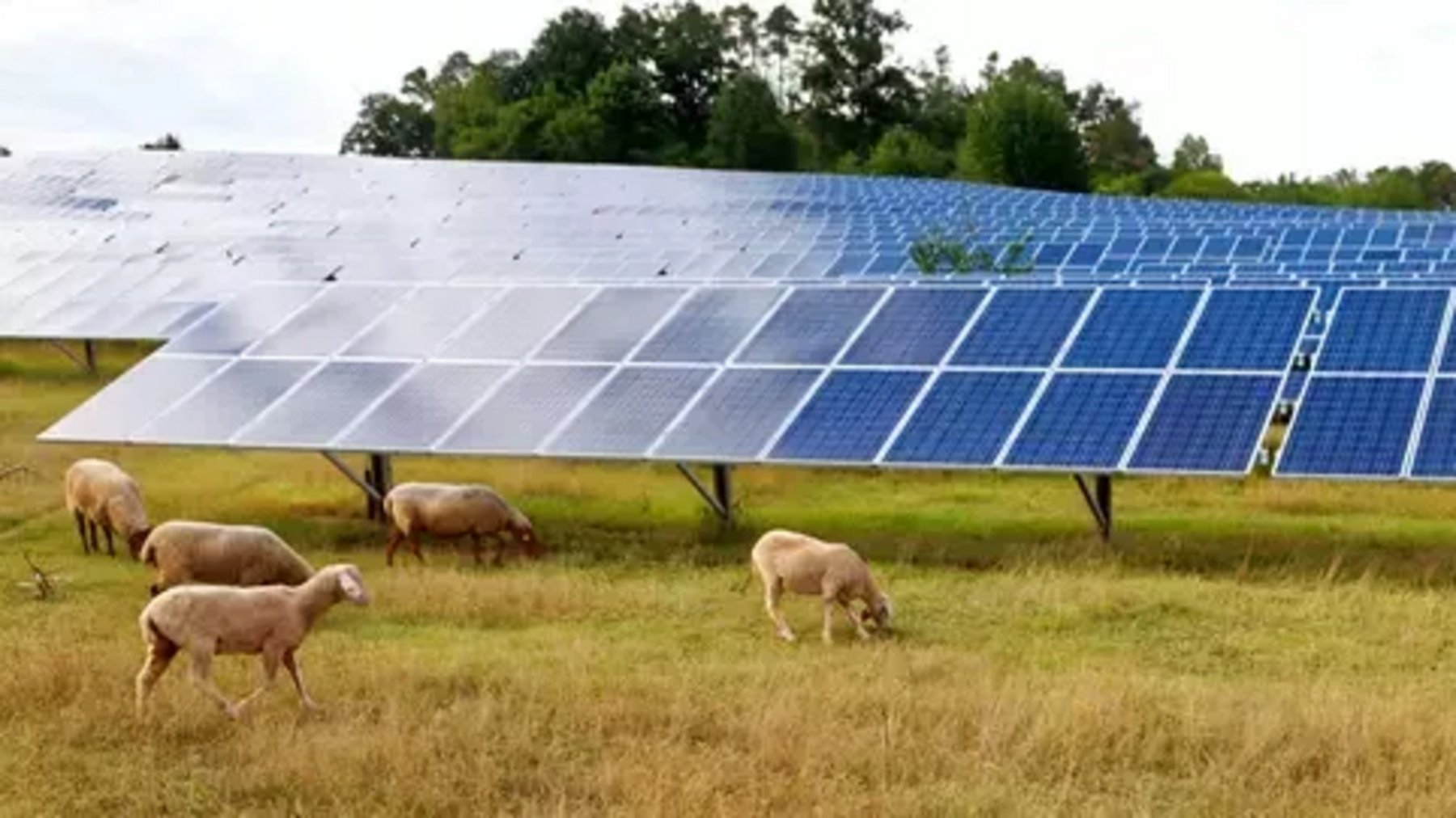 BP renewable energy acquisition with 7X Energy | Sustainability Magazine