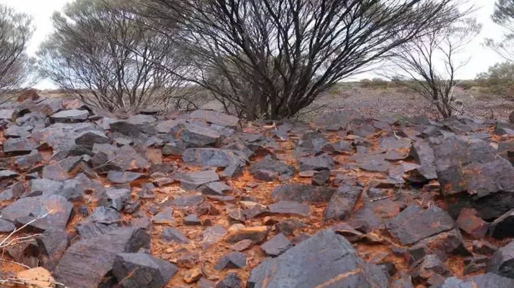 Australian Vanadium Ltd: Defining a future for global vanadium | Mining ...