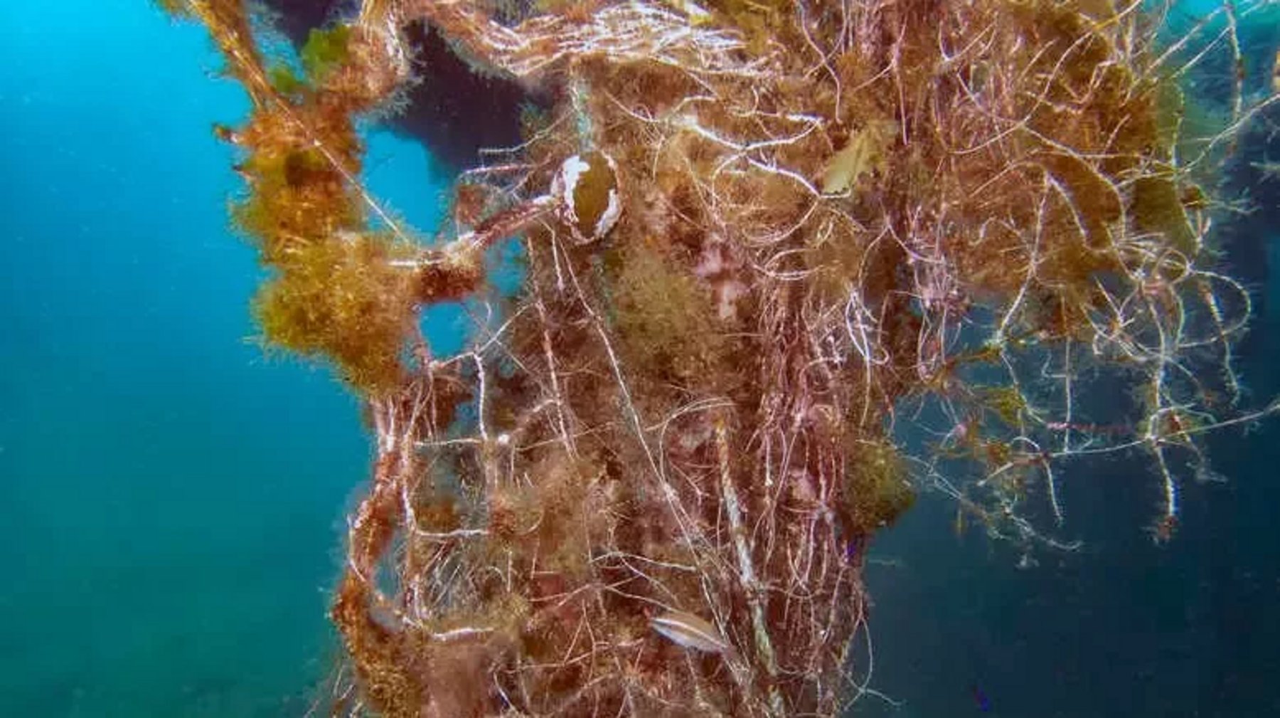 Global Ghost Gear Initiative aims to reduce oceanic debris ...