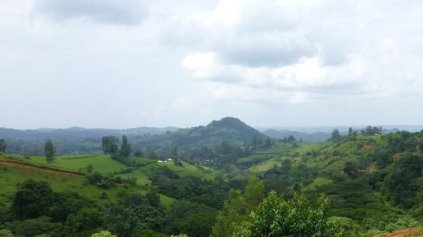 KEFI targets gold production in KSA and Ethiopia in 3 years | Mining ...