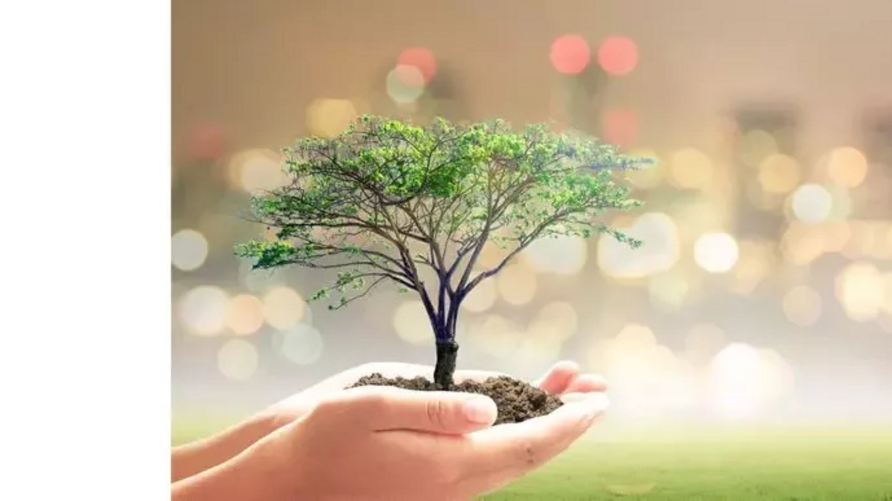 Mars, PepsiCo, and McCormick Collaborate on Sustainability ...