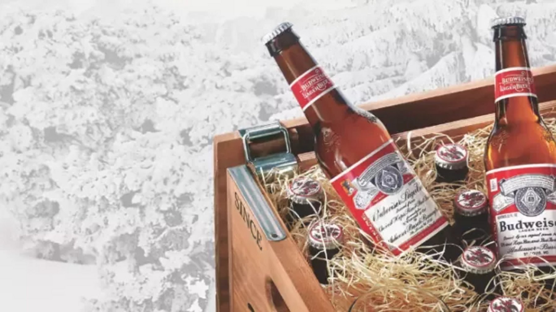 Food & Beverage: Budweiser APAC’s Sustainable Manufacturing ...