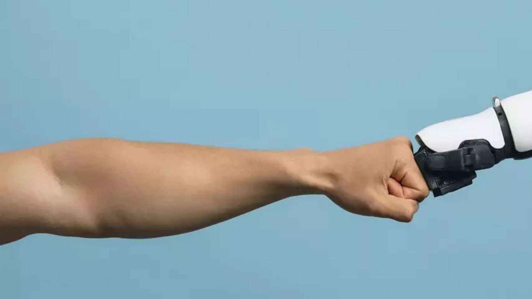 Siemens Healthineers adds Mentice VIST to robotic PCI system ...