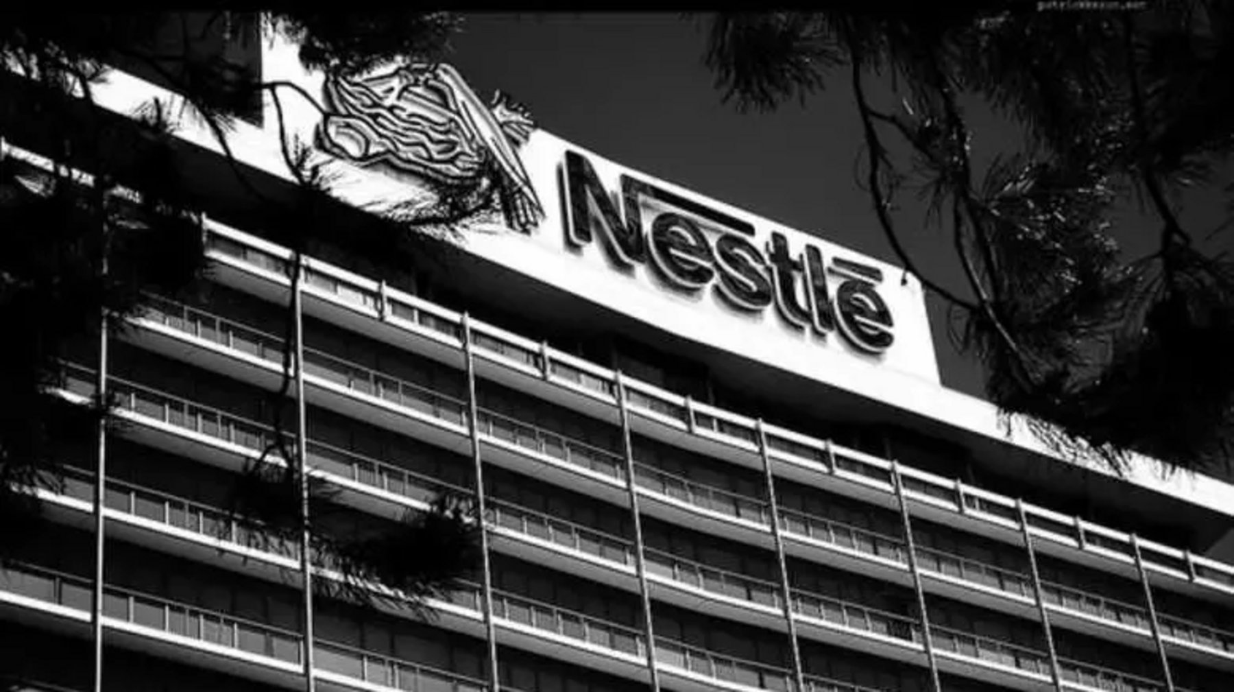 Nestle develops environmentally sustainable manufacturing and reduces ...