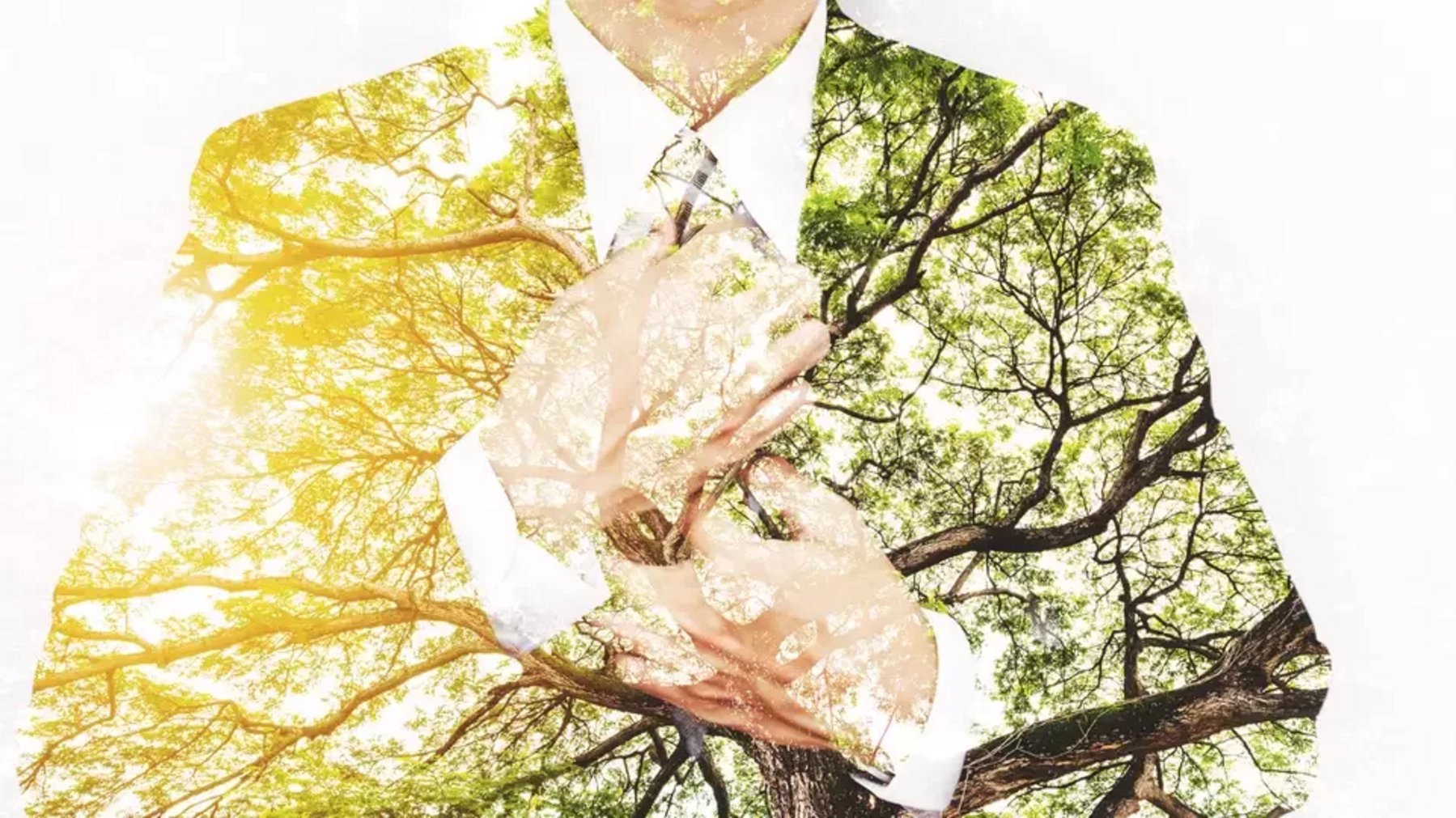 Charting the rise of the chief sustainability officer | Business Chief ...