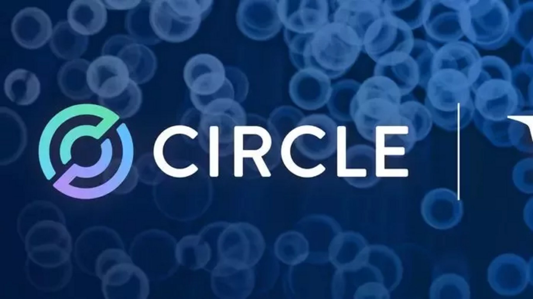 Visa adds USDC stablecoin to network with Circle | FinTech Magazine