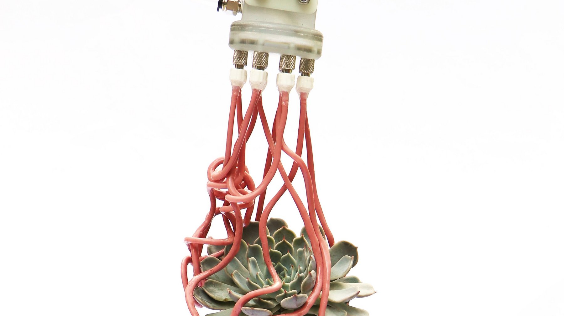 Robot tentacles get a grip without need for complex controls | AI Magazine