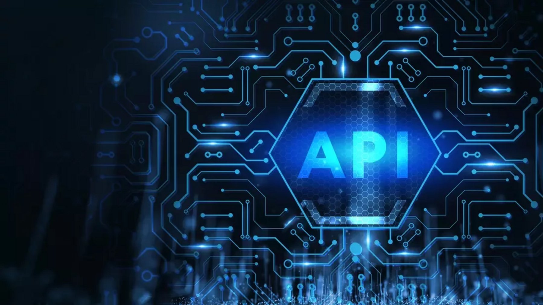 BPL Global and Euler Hermes launch new API | InsurTech Magazine