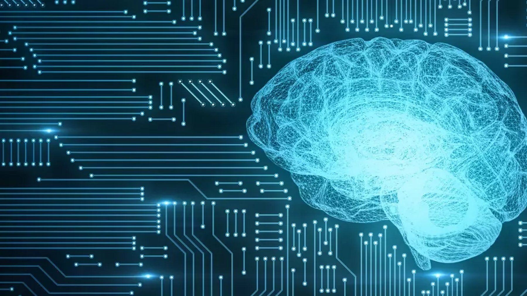 Is the Digital Brain the Future of Digital Transformation? | Supply ...