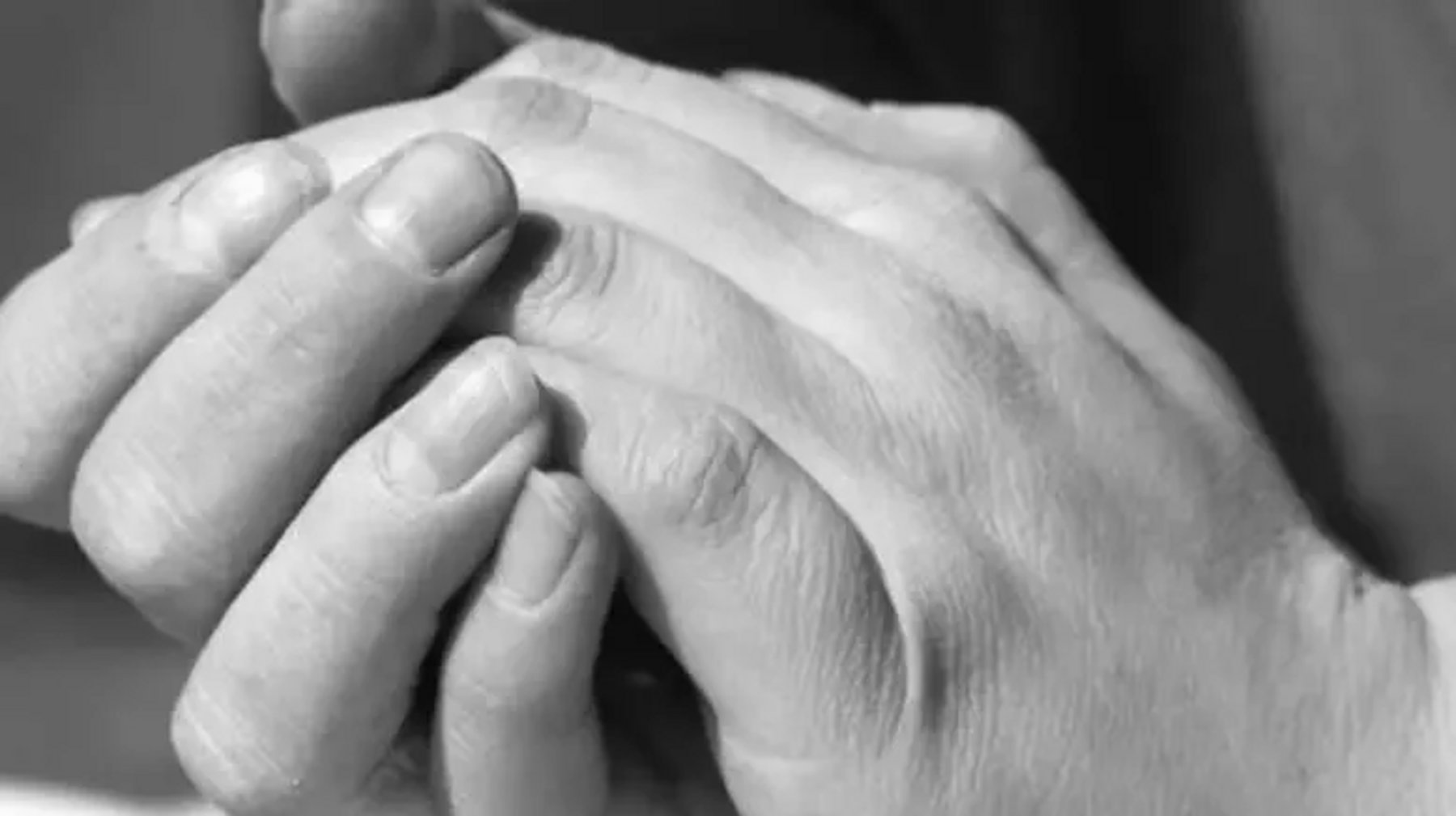 New technology translates sign language into text | Healthcare Digital