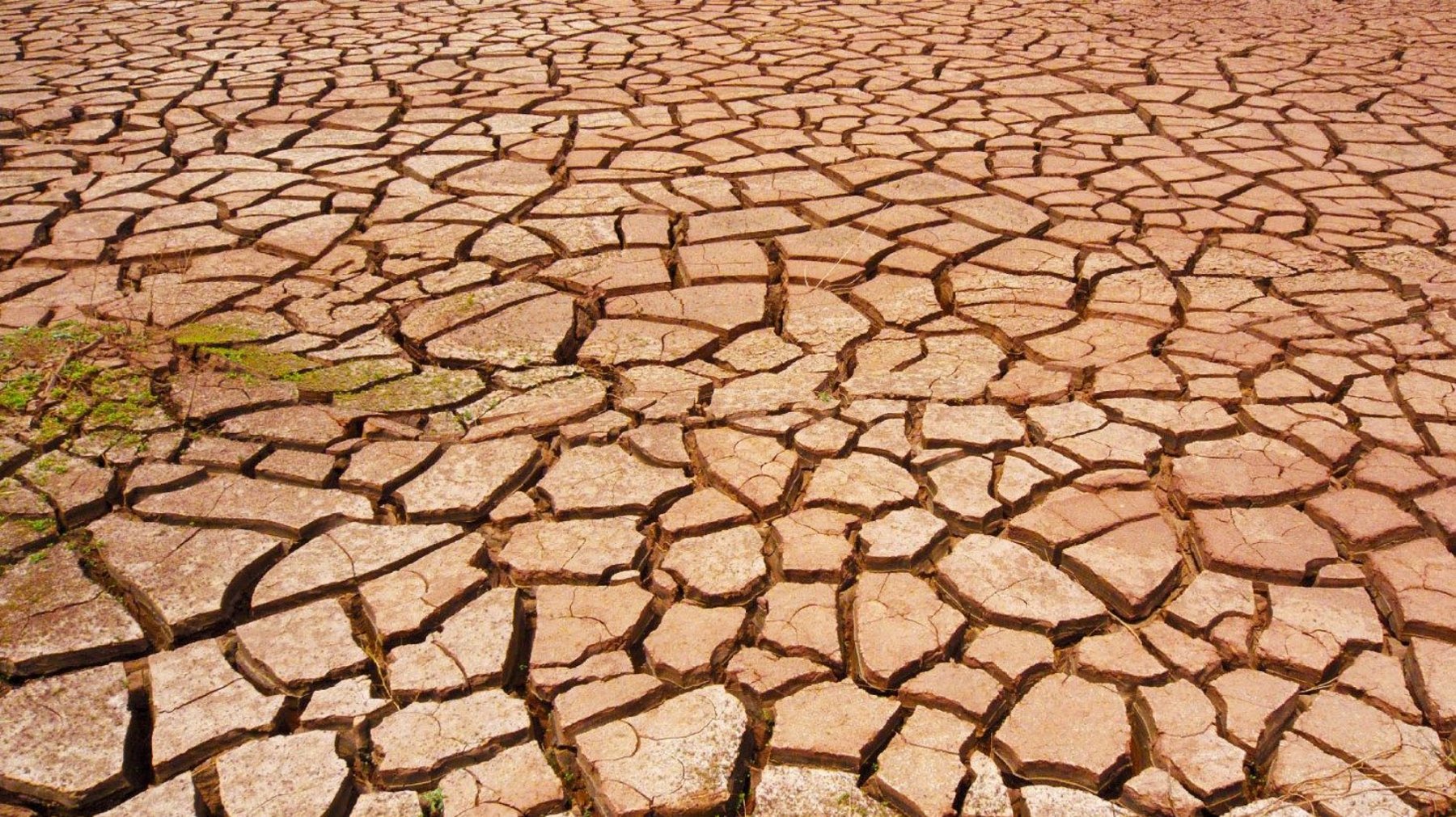 Global supply chains 'unprepared' for China droughts | Supply Chain ...