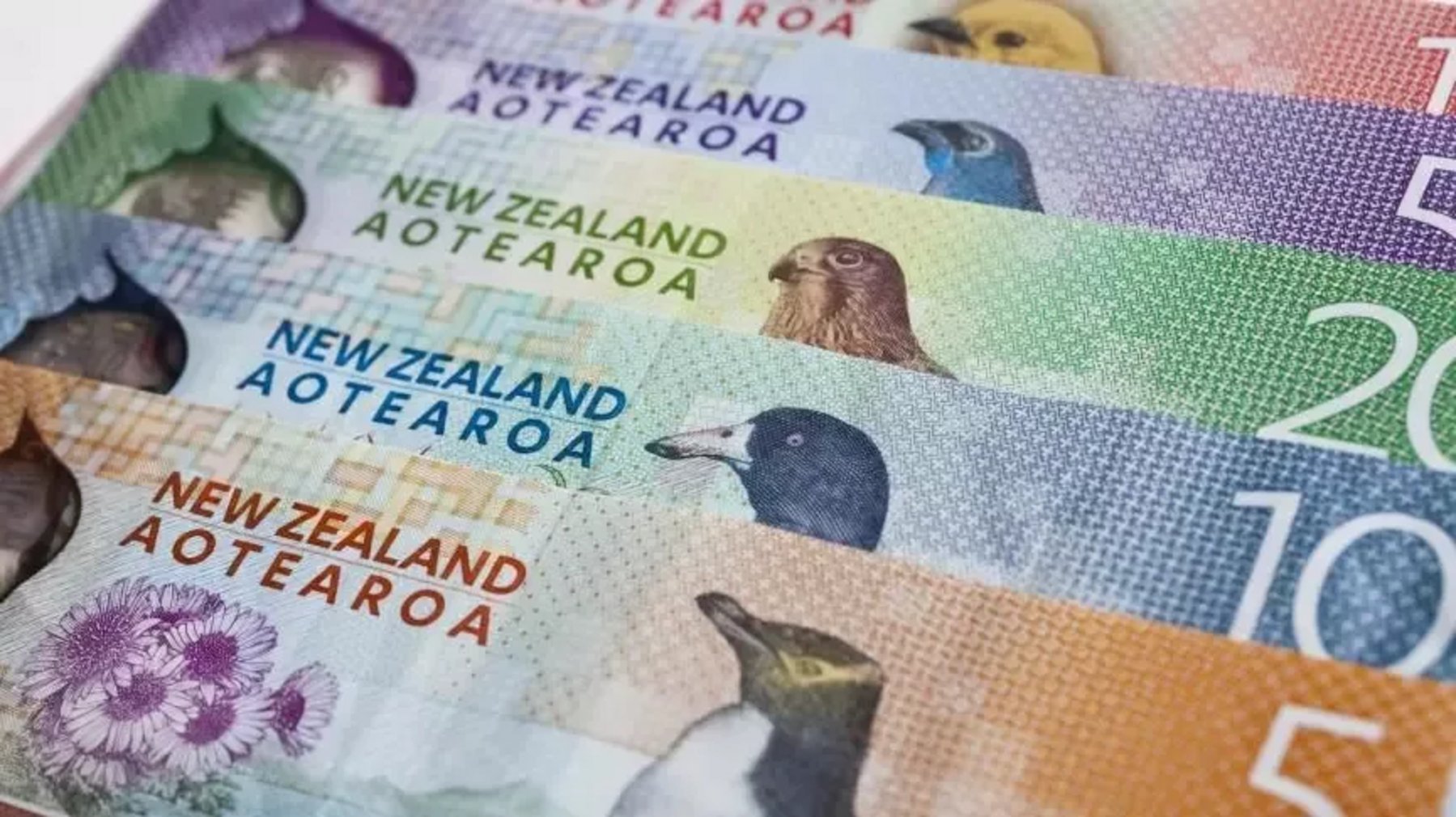Paymark accepts NZ$190mn offer from French payment firm Ingenico Group ...