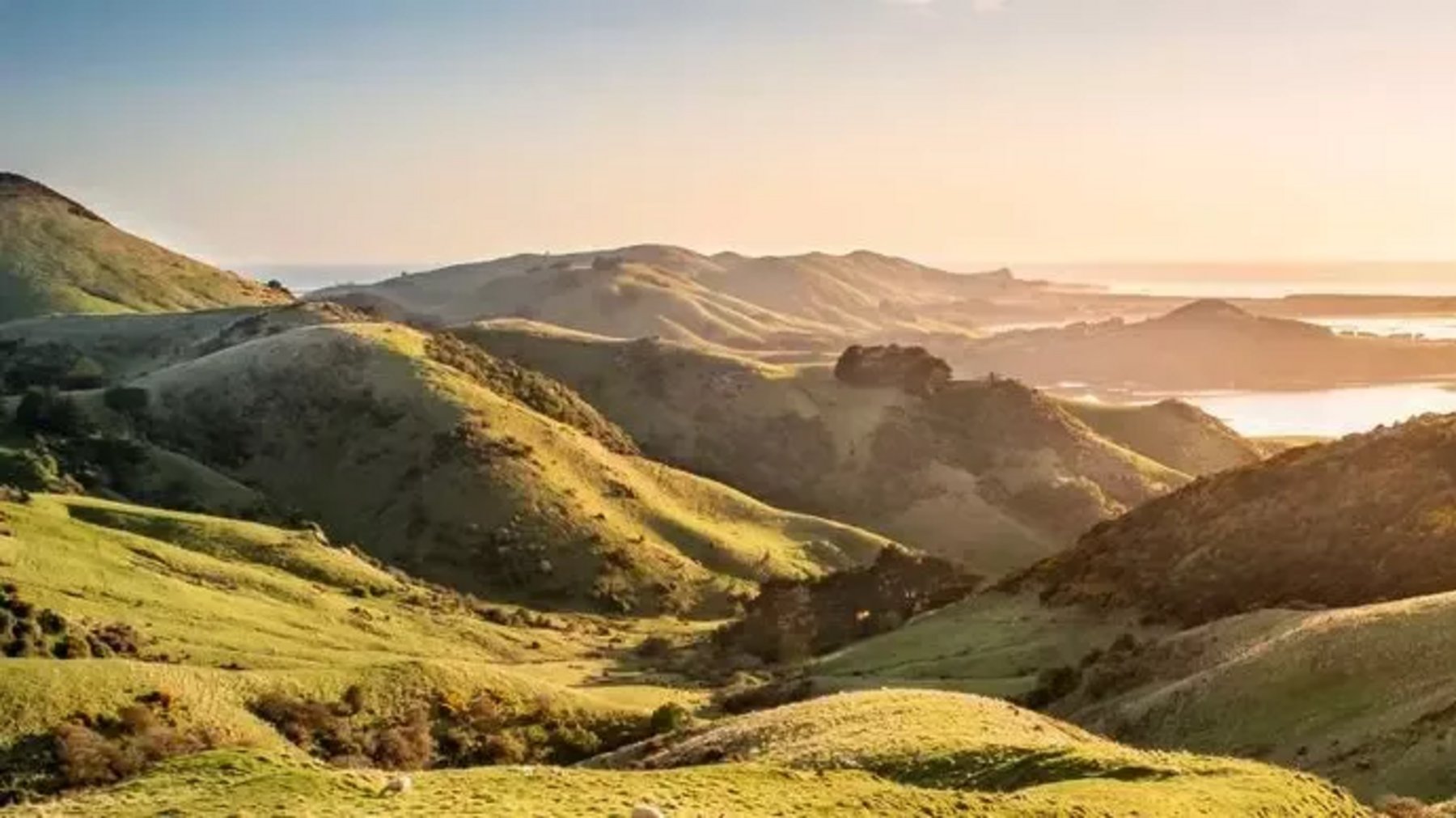 Meridian, Datagrid to build hyperscale data centre in NZ | Data Centre ...