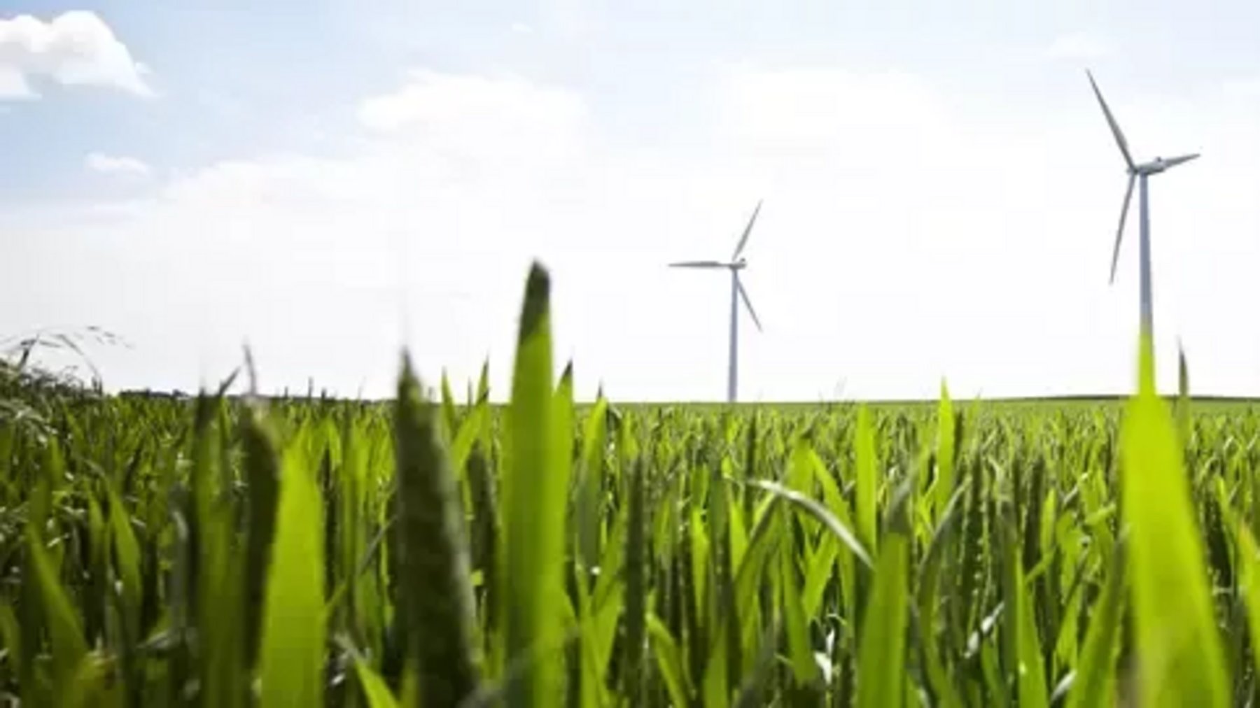 The Greener Earth Project challenge: Live Net-Zero Day | Sustainability ...