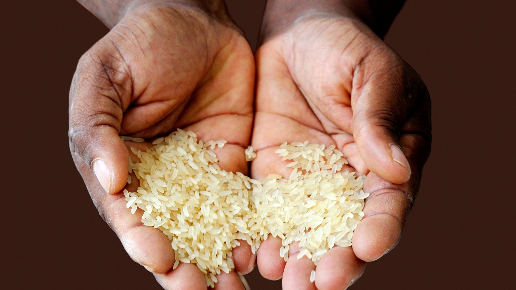 UN’s Zero Hunger Sustainable Development Goal at risk | Sustainability ...