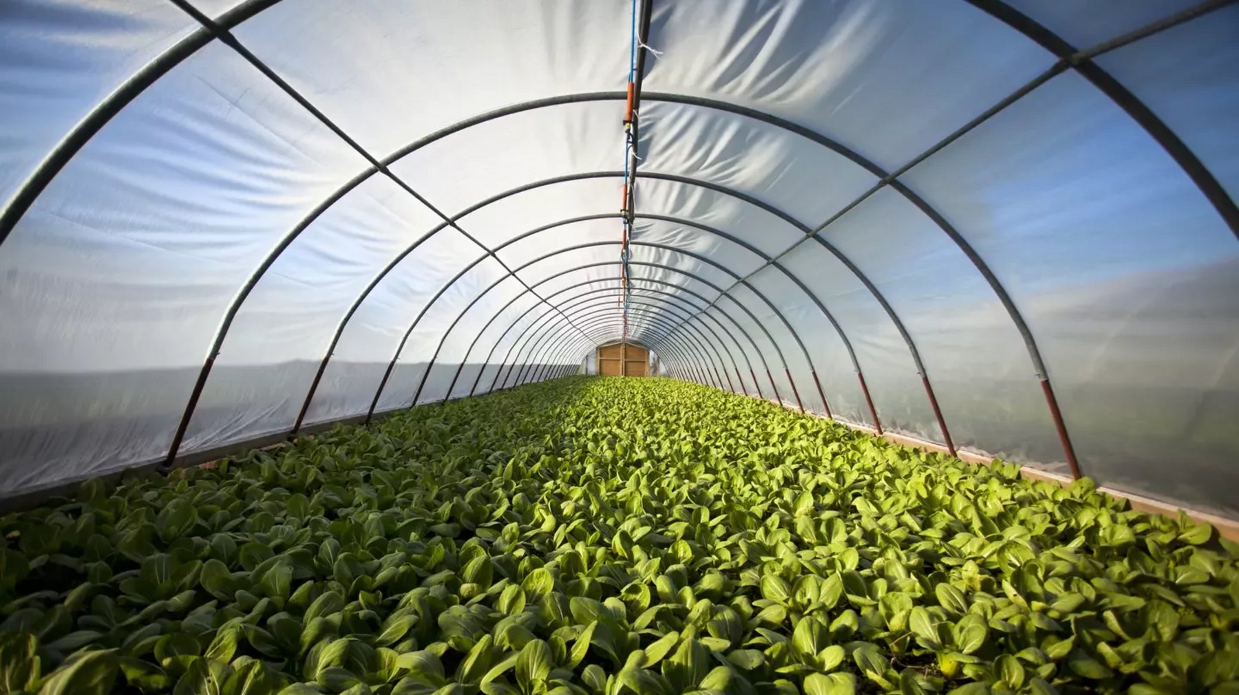 Hambro Perks invests in agricultral challenger Oxbury Bank | FinTech ...